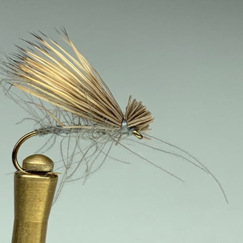 CADDIS – Freestone Fly Company
