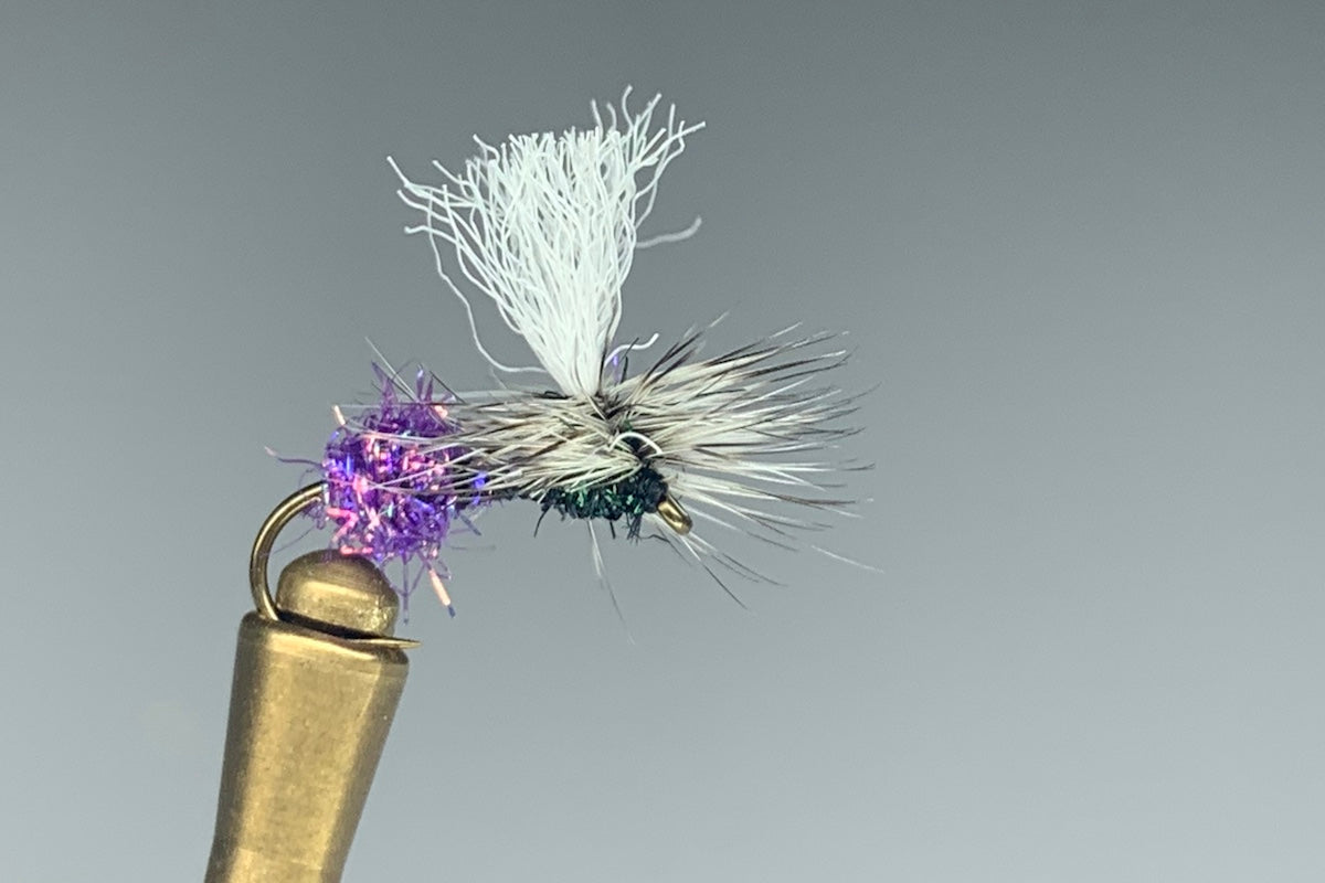 DISCO ANT (PURPLE) – Freestone Fly Company